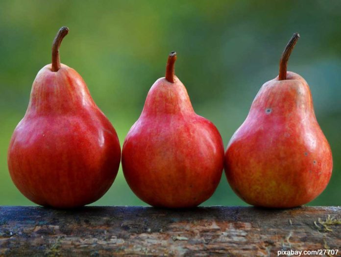 Super Popo: Unser Stylingguide für alle Po Formen