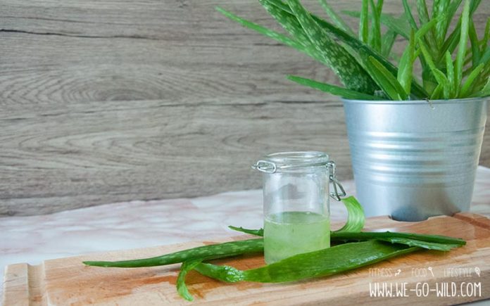 Aloe Vera Gel Selber Machen
