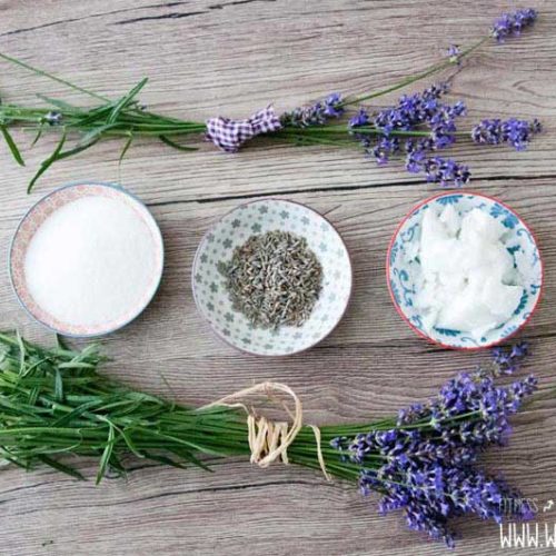Lavendel Peeling mit Kokosöl selber machen *für trockene Haut*