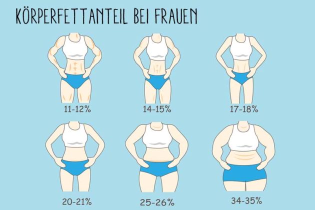Körperfettanteil berechnen -Wie viel Körperfett ist optimal?