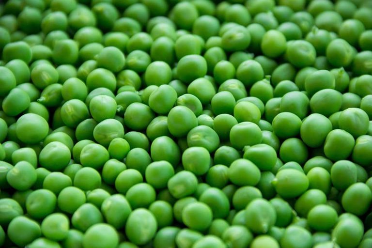 30 kaliumreiche Lebensmittel, die du kennen solltest - WE GO WILD