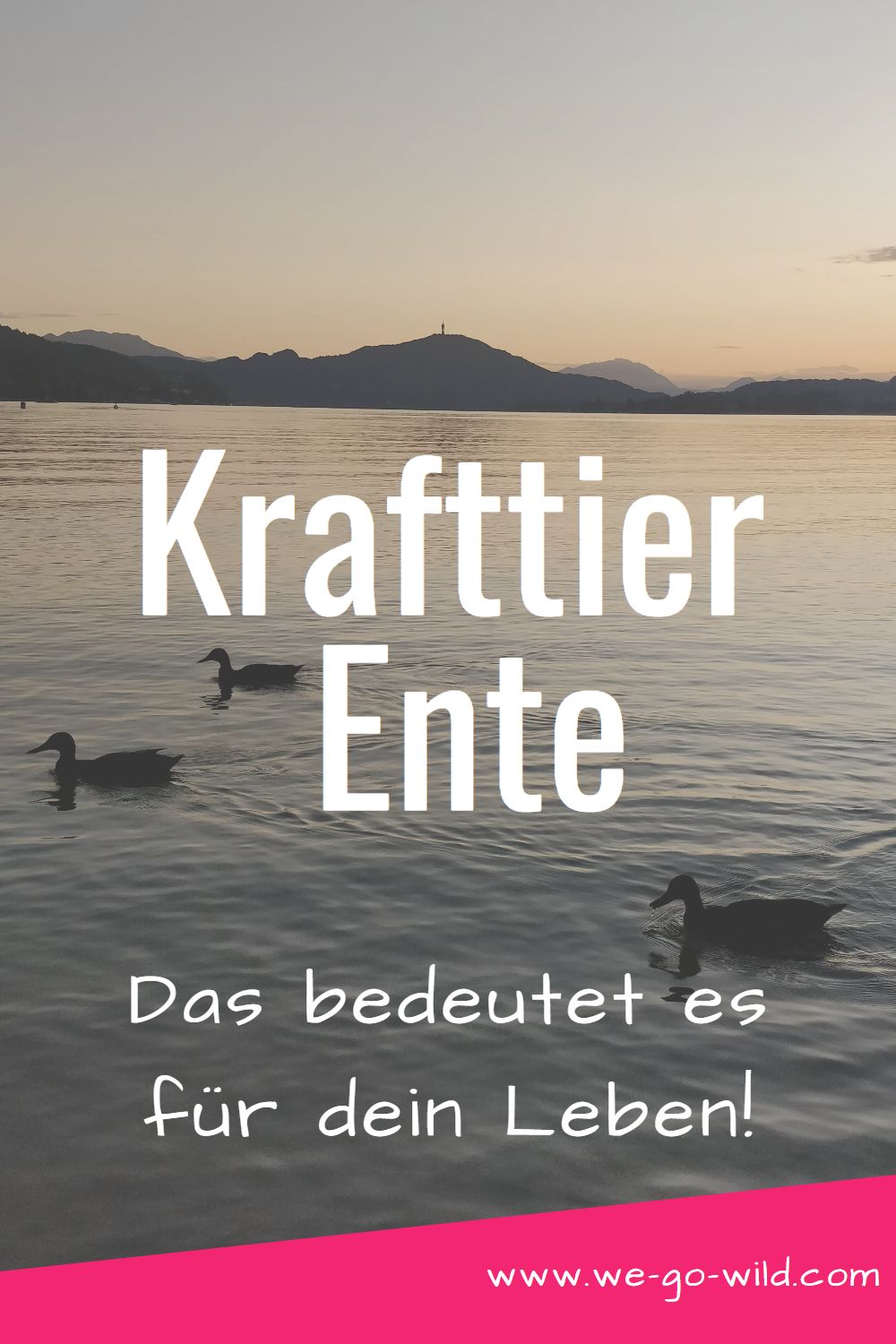 Krafttier Ente: Das bedeutet sie wirklich!